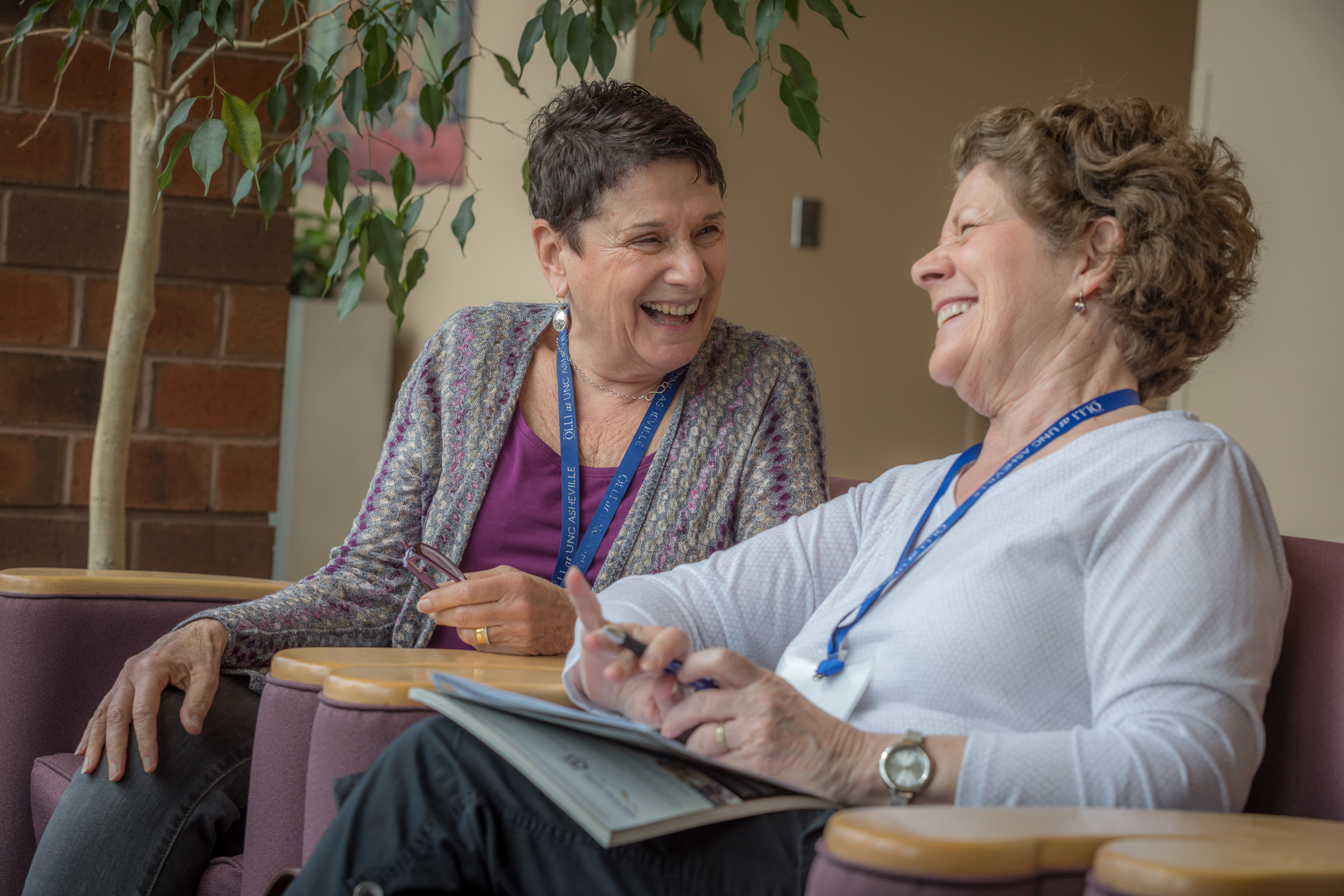 Paths to Creative Retirement - Osher Lifelong Learning Institute