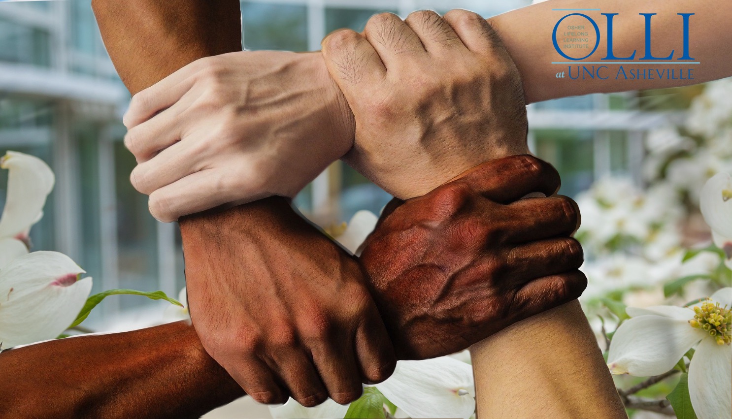 Inclusion Initiative - Osher Lifelong Learning Institute